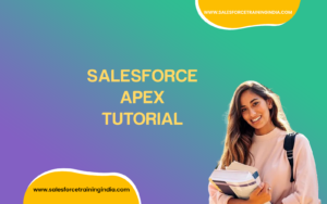 Salesforce Apex Tutorial